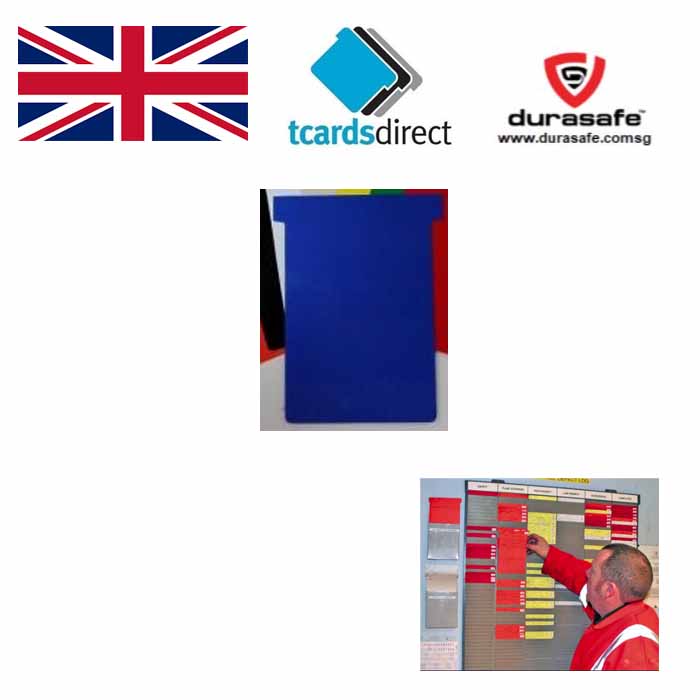 T Cards Direct TTSFTAOB Heavy Duty Flag Tags - Blue (10/per pack ...